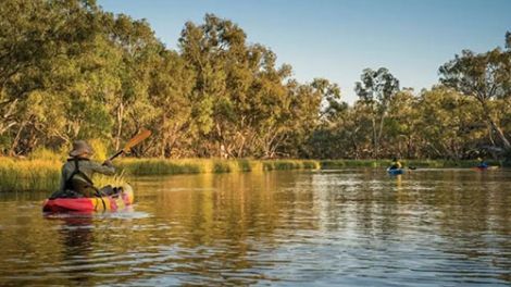 Discover Cobar Caravan Park | Outback Adventure Awaits