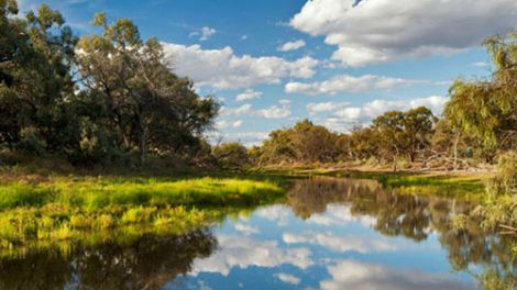 Discover Cobar Caravan Park | Outback Adventure Awaits